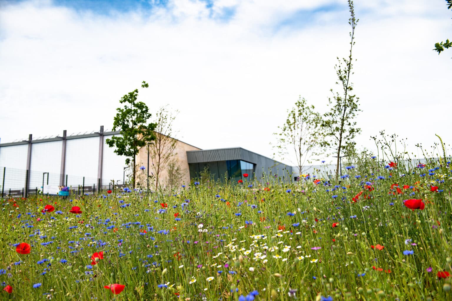 Sports Centre | Oundle School