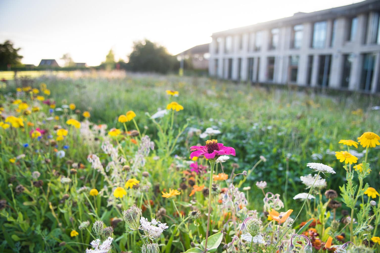 Our story | Oundle School